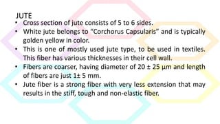 Textile Raw Material, Production of Bast (jute)fibre | PPT