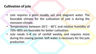 Textile Raw Material, Production of Bast (jute)fibre | PPT