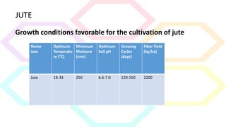 Textile Raw Material, Production of Bast (jute)fibre | PPT