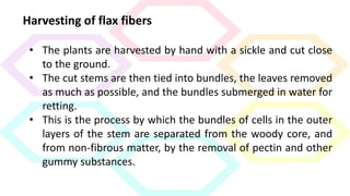 Textile Raw Material, Production of Bast (jute)fibre | PPT