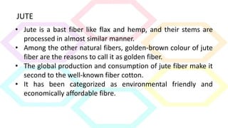 Textile Raw Material, Production of Bast (jute)fibre | PDF