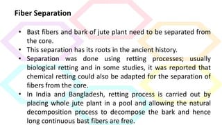 Textile Raw Material, Production of Bast (jute)fibre | PPT