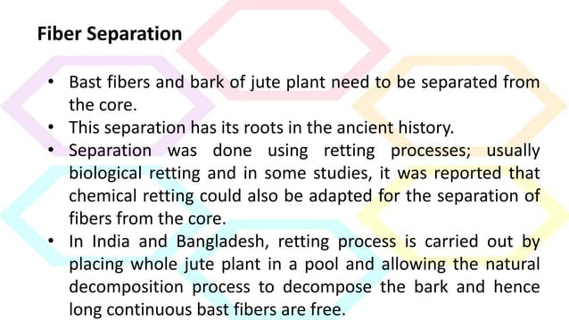 Textile Raw Material, Production of Bast (jute)fibre | PPT