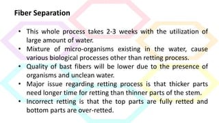 Textile Raw Material, Production of Bast (jute)fibre | PPT