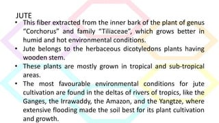 Textile Raw Material, Production of Bast (jute)fibre | PPT