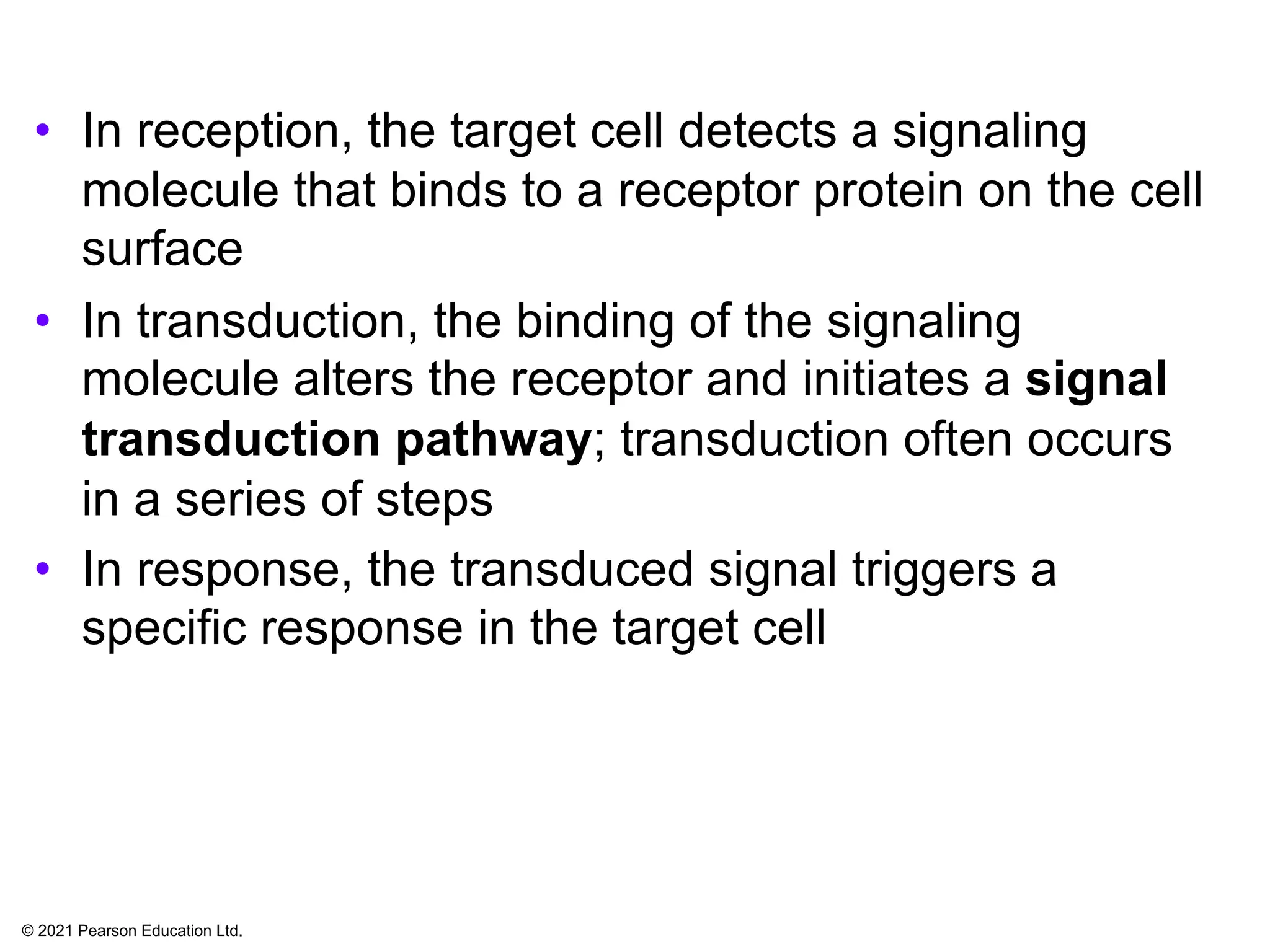 Lecture 11 - Cell signaling / cell singaling | PPT