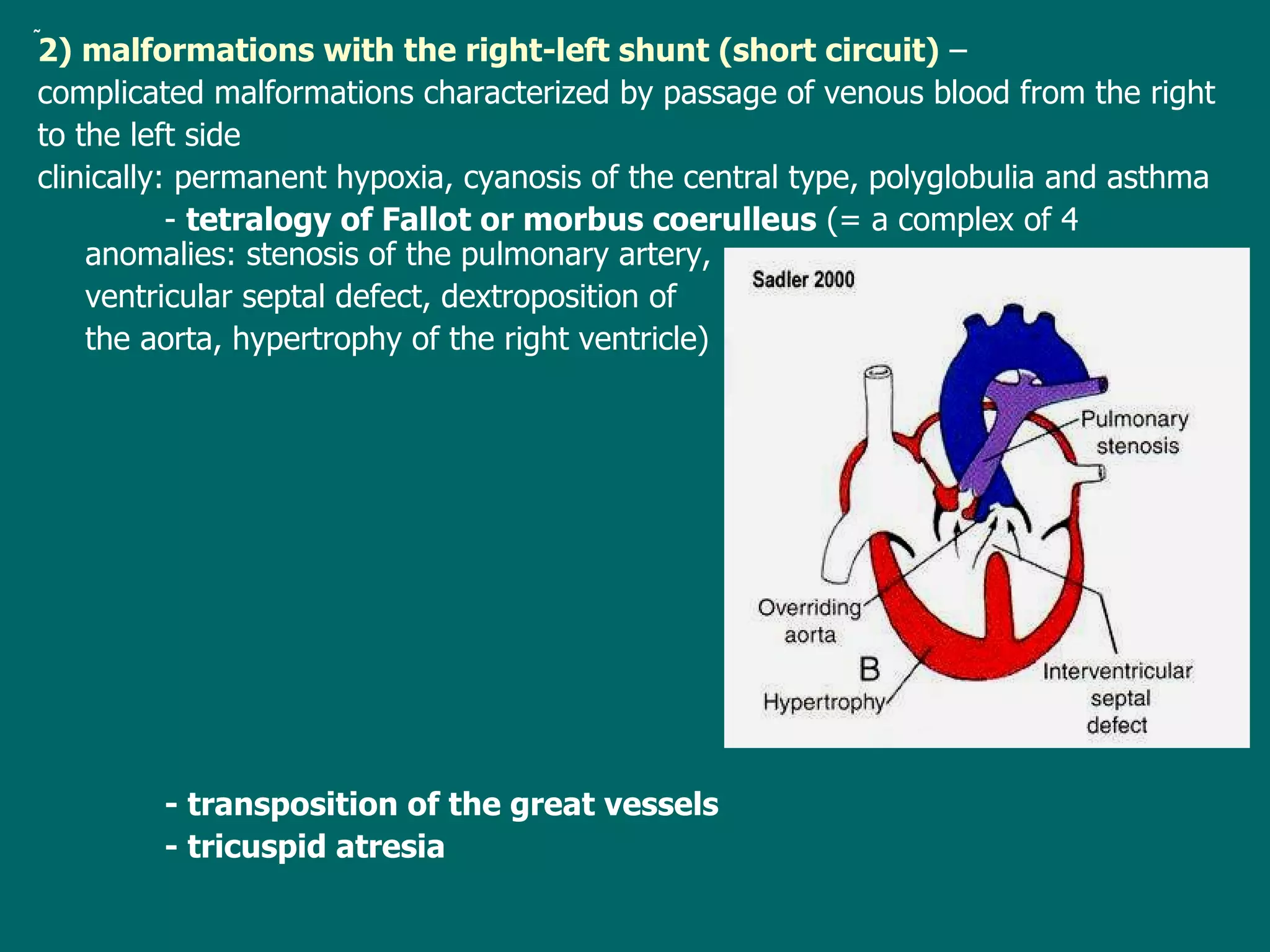 Lecture11 development of the heart and blood vessels | PPT