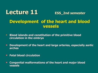 Lecture11 development of the heart and blood vessels | PPT