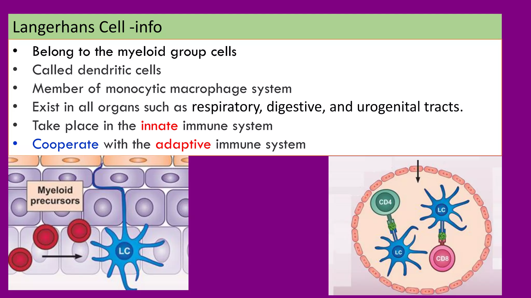 Langerhans Cell Histiocytosis (LCH).pdf