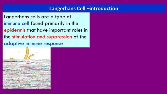 Langerhans Cell Histiocytosis (LCH).pdf | Blood Disorders | Diseases ...