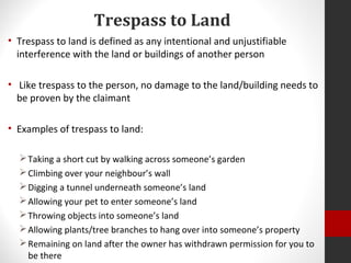 Lecture 11 law of tort | PPT