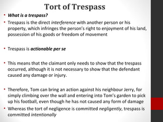 Lecture 11 law of tort | PPT