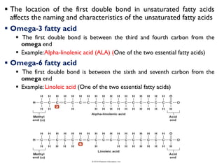 Lecture 11 - Lipids 1.pdf full introduction | PPT