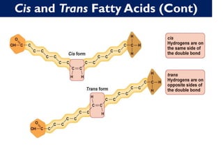 Lecture 11 - Lipids 1.pdf full introduction | PPT