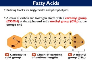 Lecture 11 - Lipids 1.pdf full introduction | PPT