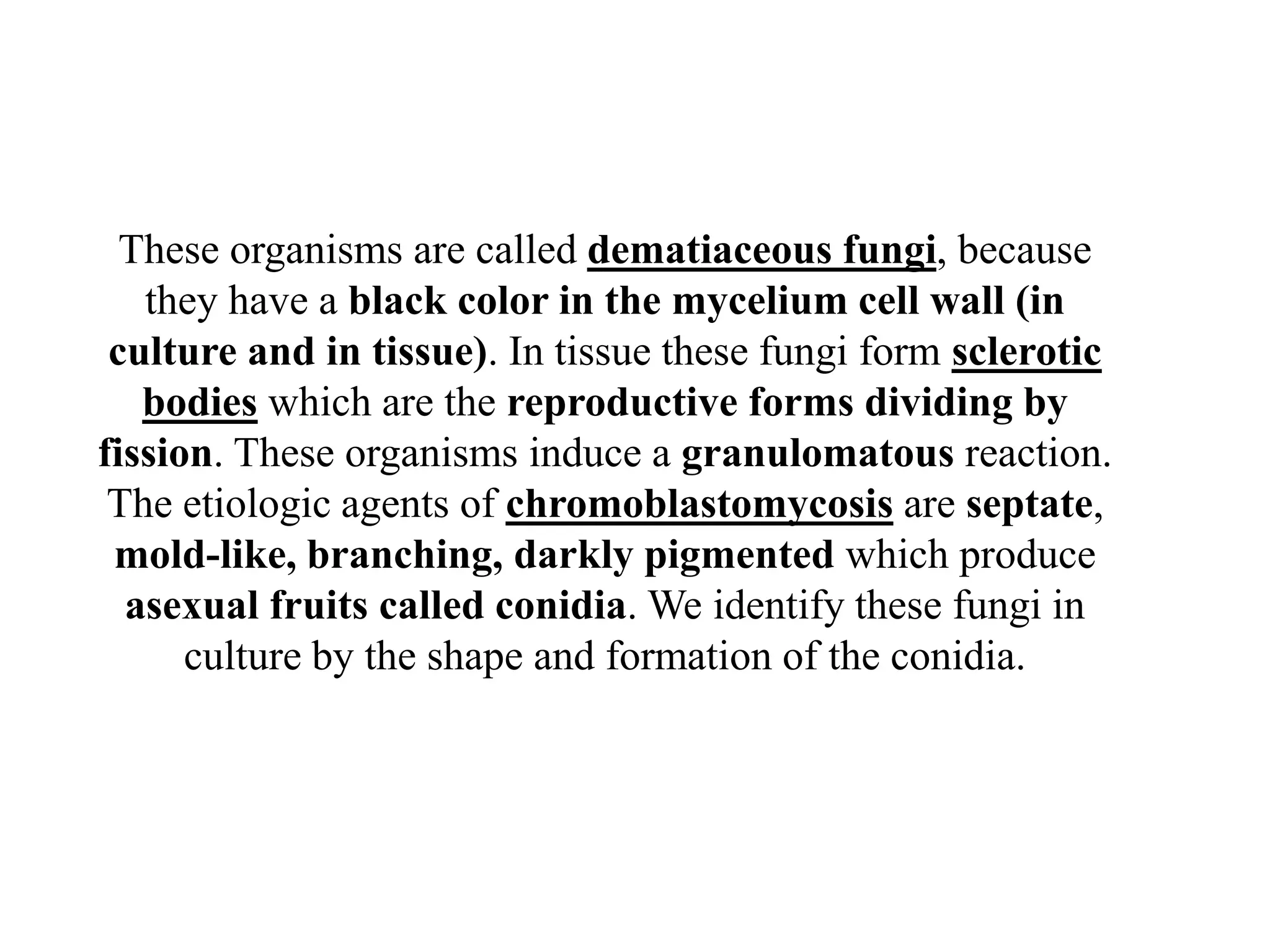 Lecture 11- Medical Mycology- Filamentous Fungi.ppt
