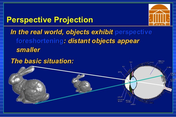 Lecture 11 Perspective Projection