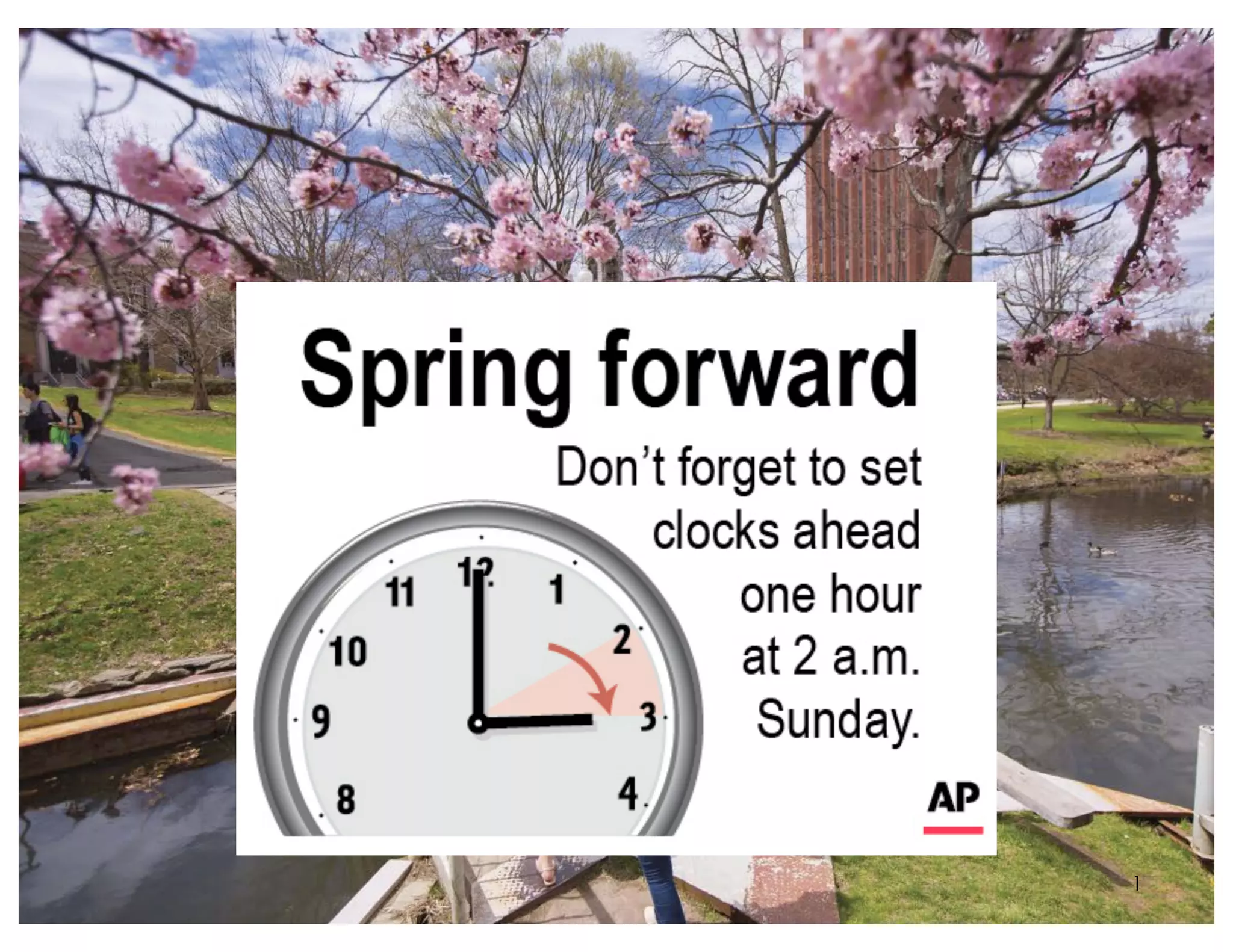 Lecture 11 (3 11-2021) acellular life | PDF