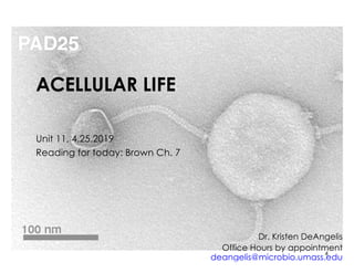 Lecture 11 (3 11-2021) acellular life | PDF