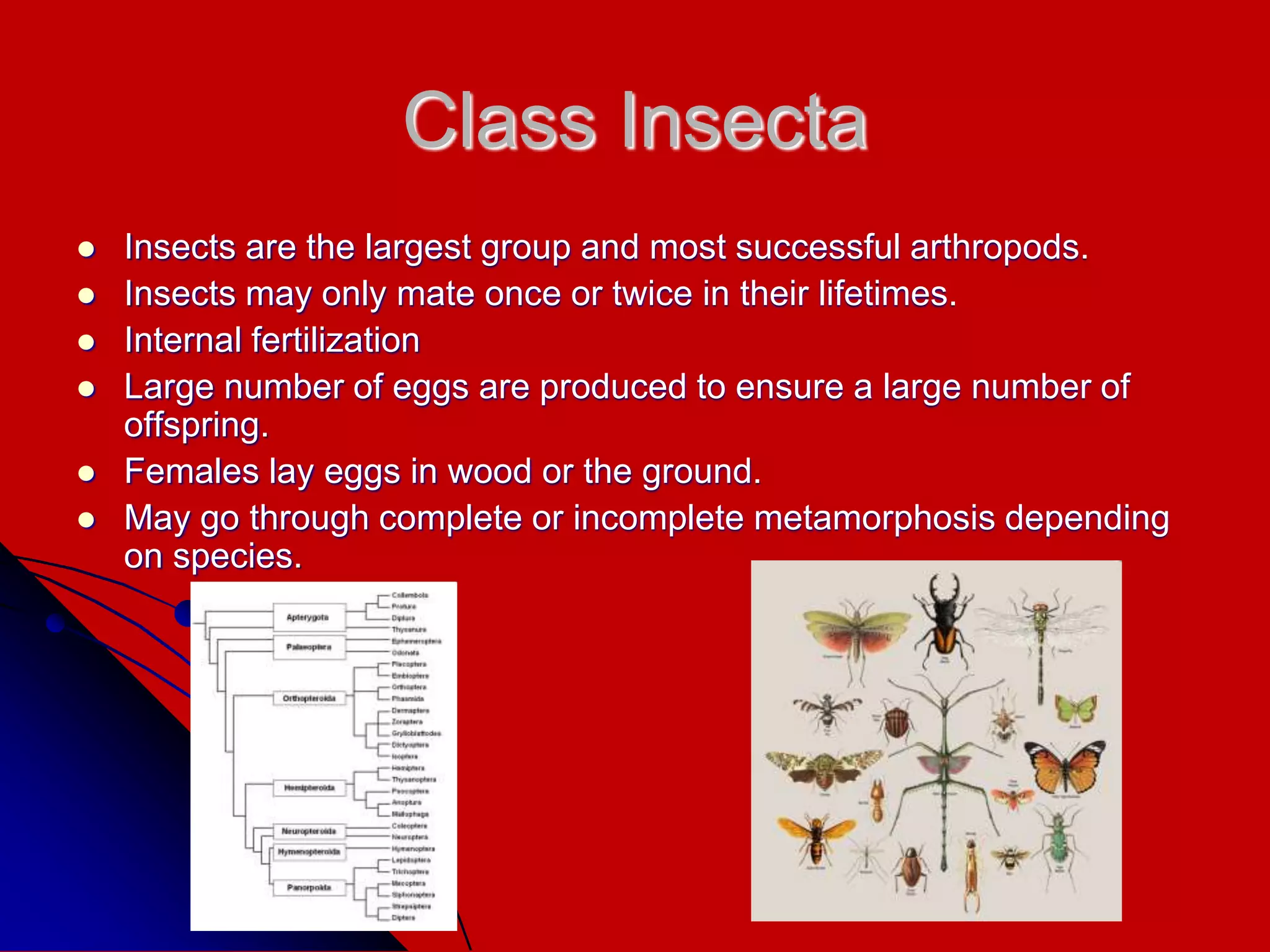 lecture_1_15.ppt