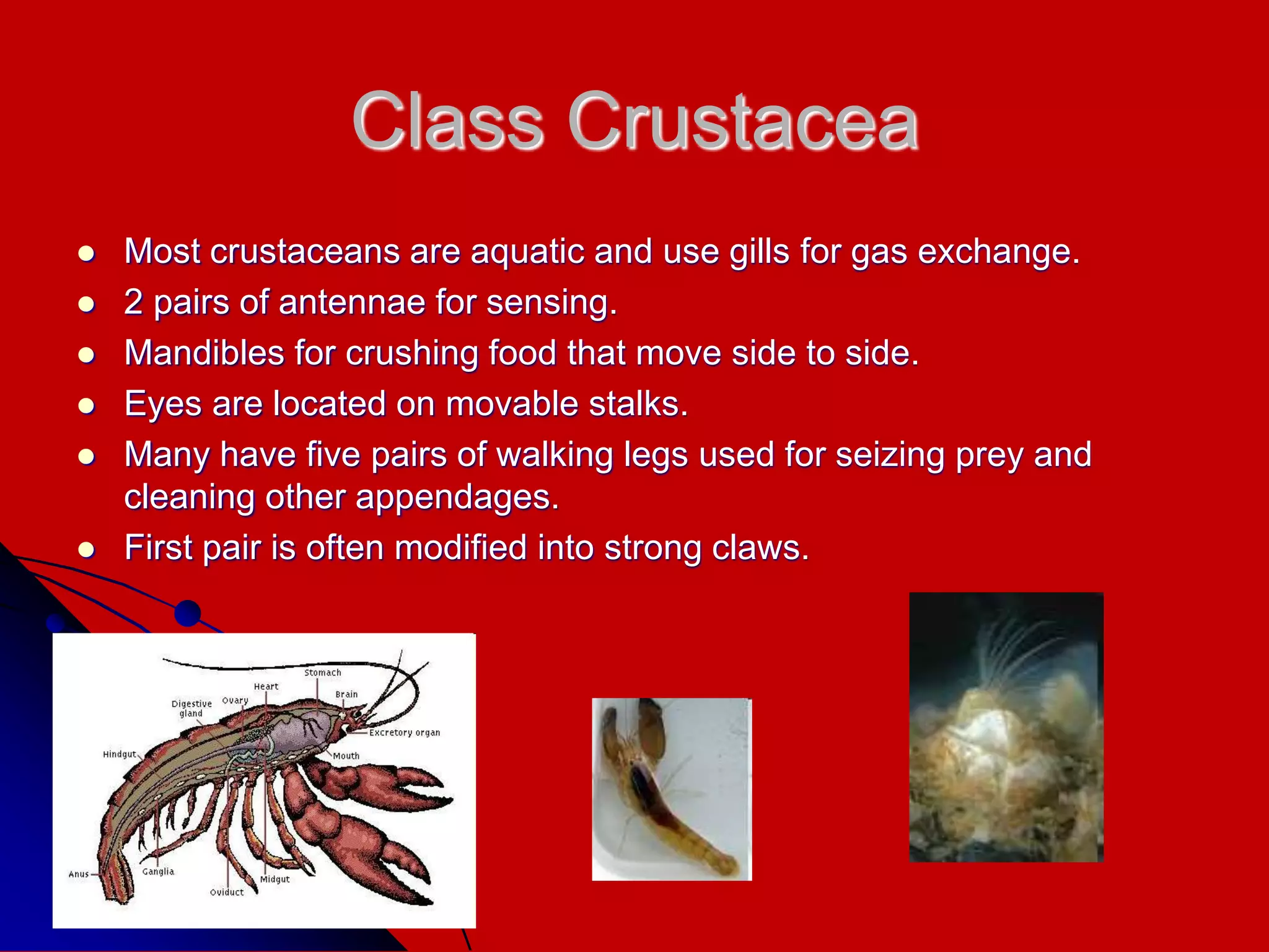 lecture_1_15.ppt