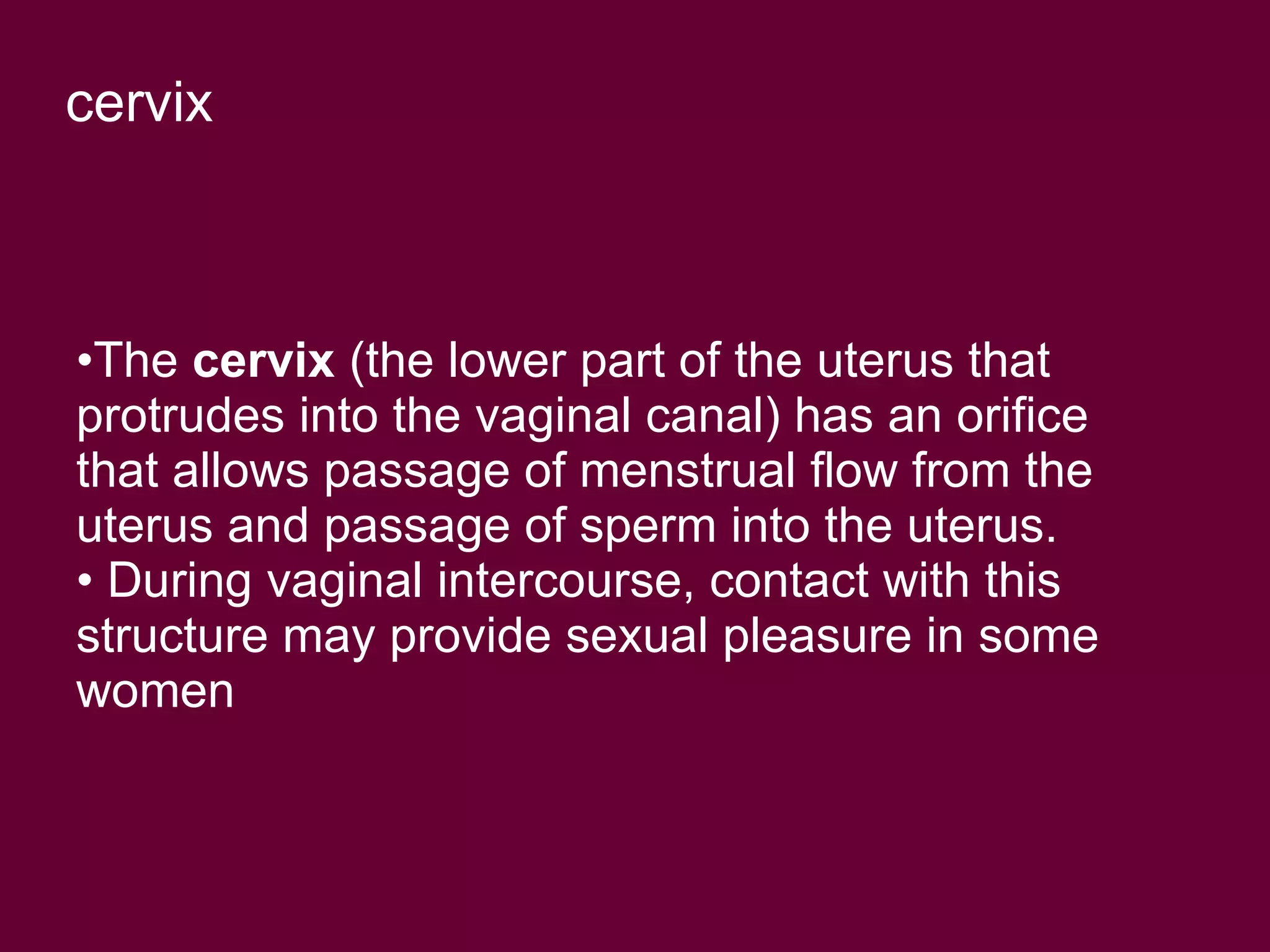 Anatomy Of Female Genital Tract | PPT