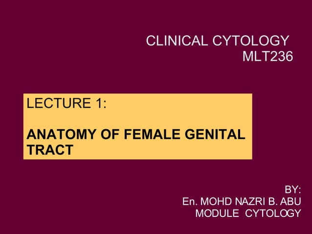 Anatomy Of Female Genital Tract | PPT | Pregnancy | Reproductive Health
