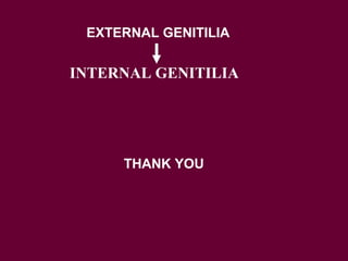 Anatomy Of Female Genital Tract | PPT