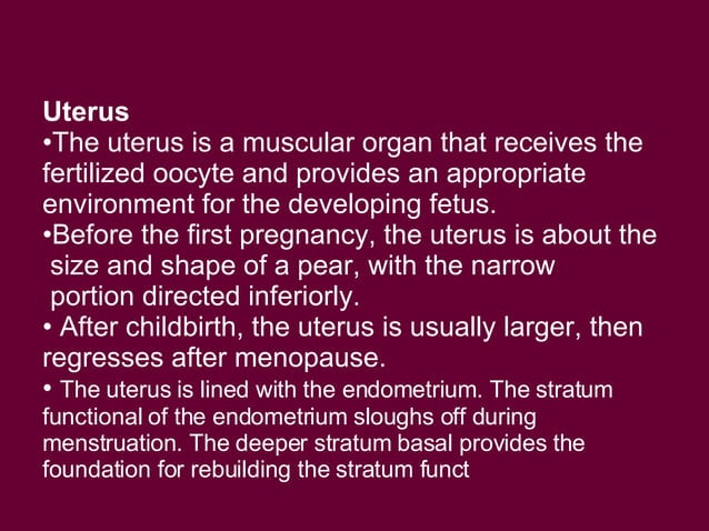 Anatomy Of Female Genital Tract | PPT | Pregnancy | Reproductive Health