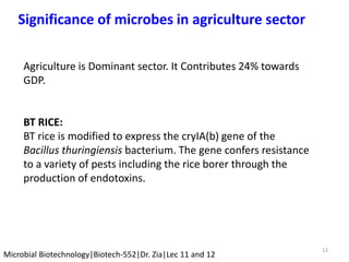 Lecture 11 and 12 microbial_sem_6 (1) | PPT