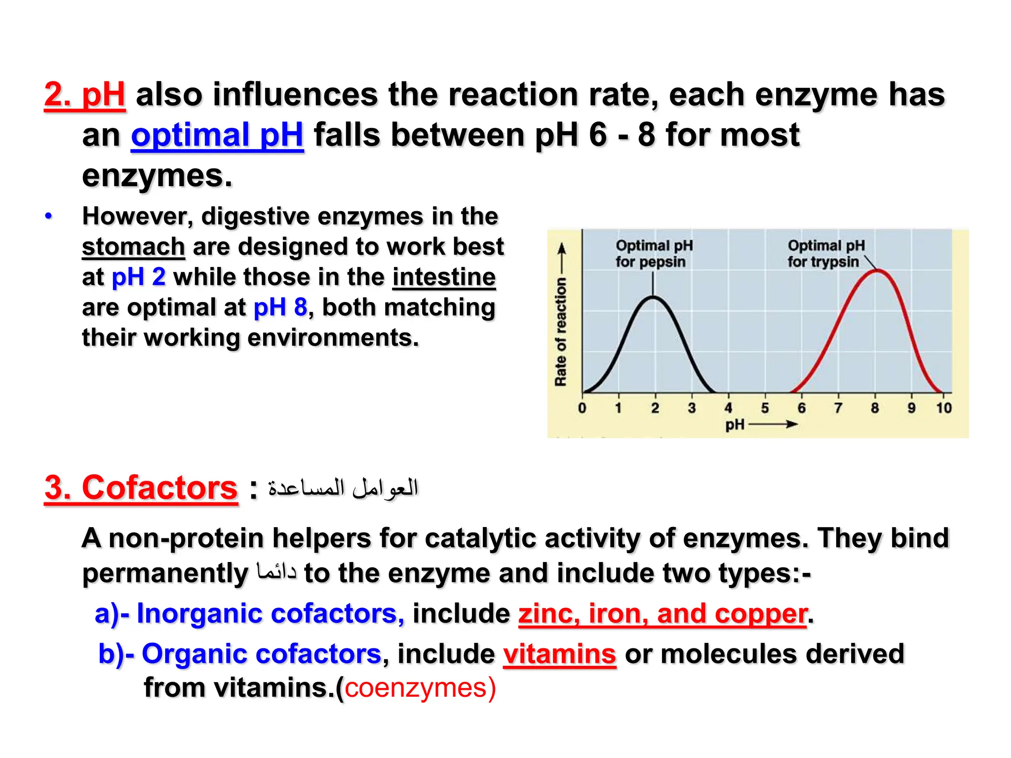 lecture_11_an_introduction_to_metabolism.ppt