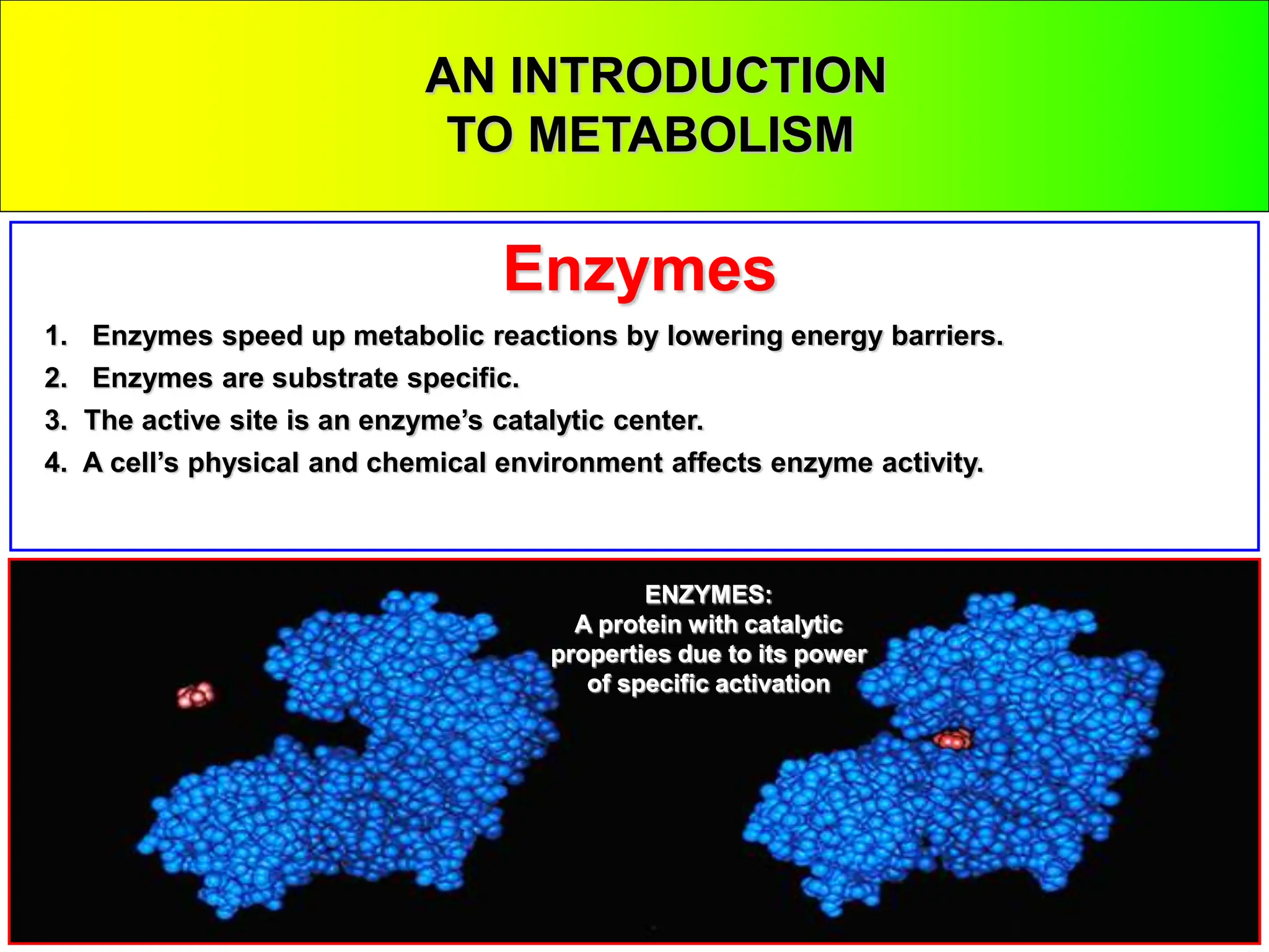 lecture_11_an_introduction_to_metabolism.ppt