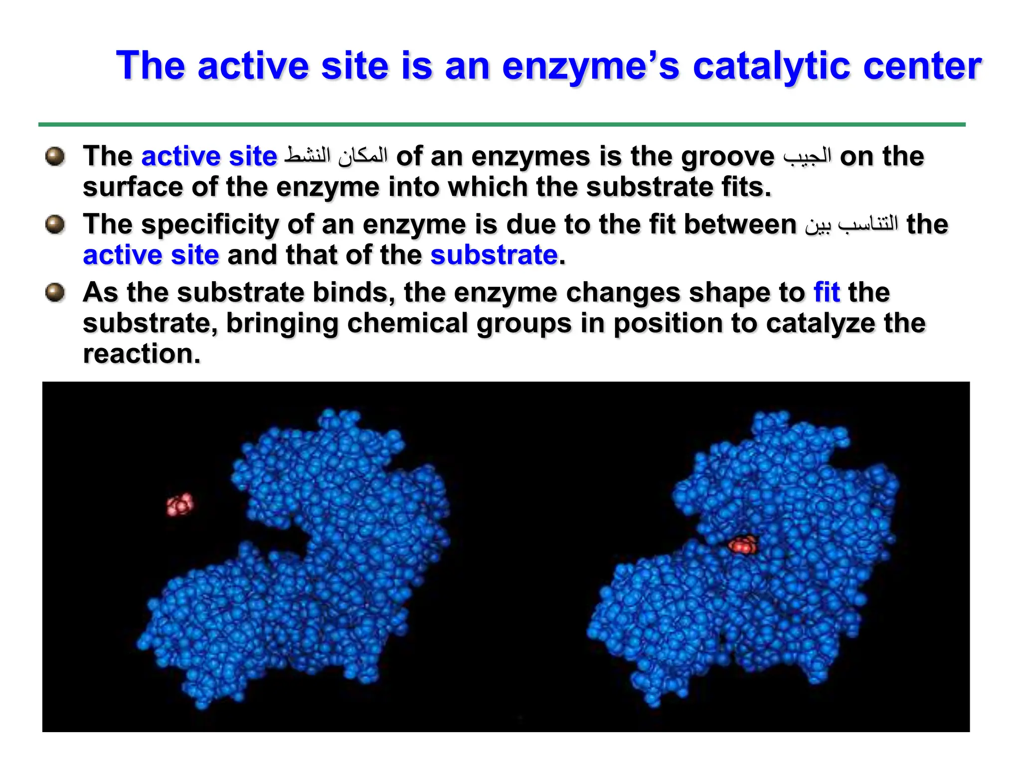 lecture_11_an_introduction_to_metabolism.ppt