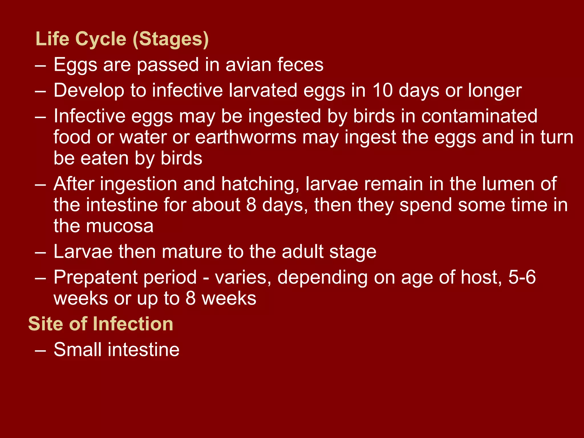Lecture 11,ascaridida, parascaris, hetarakis | PPT