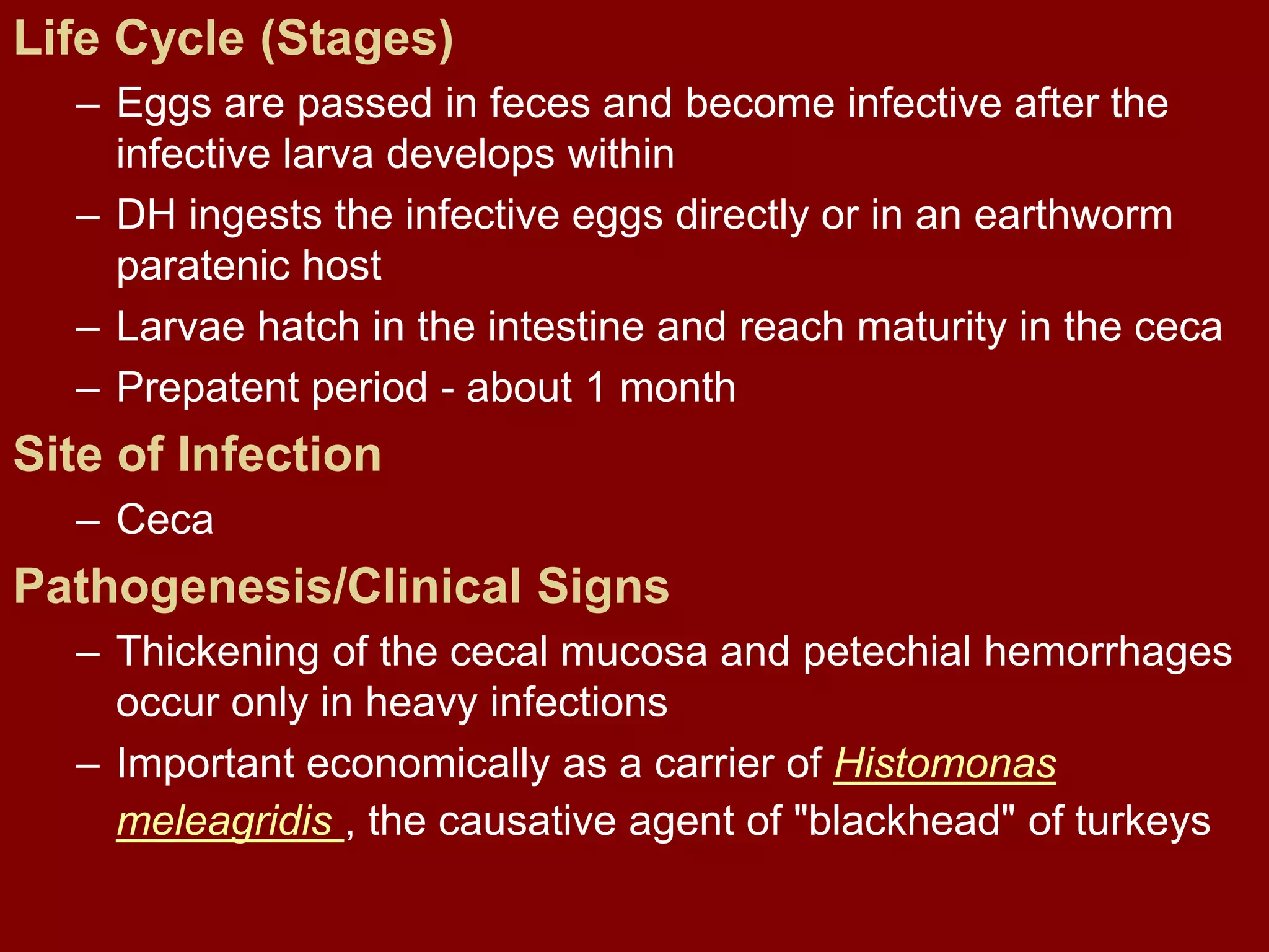 Lecture 11,ascaridida, parascaris, hetarakis | PPT