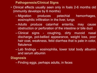 Lecture 11,ascaridida, parascaris, hetarakis | PPT