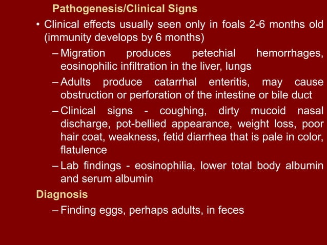 Lecture 11,ascaridida, parascaris, hetarakis | PPT | Digestive ...