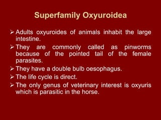 Lecture 11,ascaridida, parascaris, hetarakis | PPT