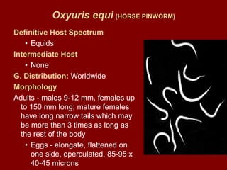 Lecture 11,ascaridida, parascaris, hetarakis | PPT