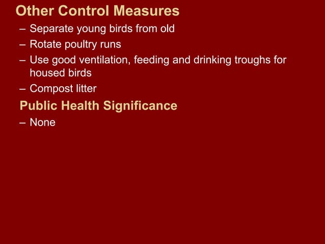 Lecture 11,ascaridida, parascaris, hetarakis | PPT | Digestive ...
