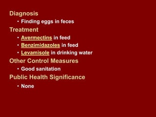 Lecture 11,ascaridida, parascaris, hetarakis | PPT