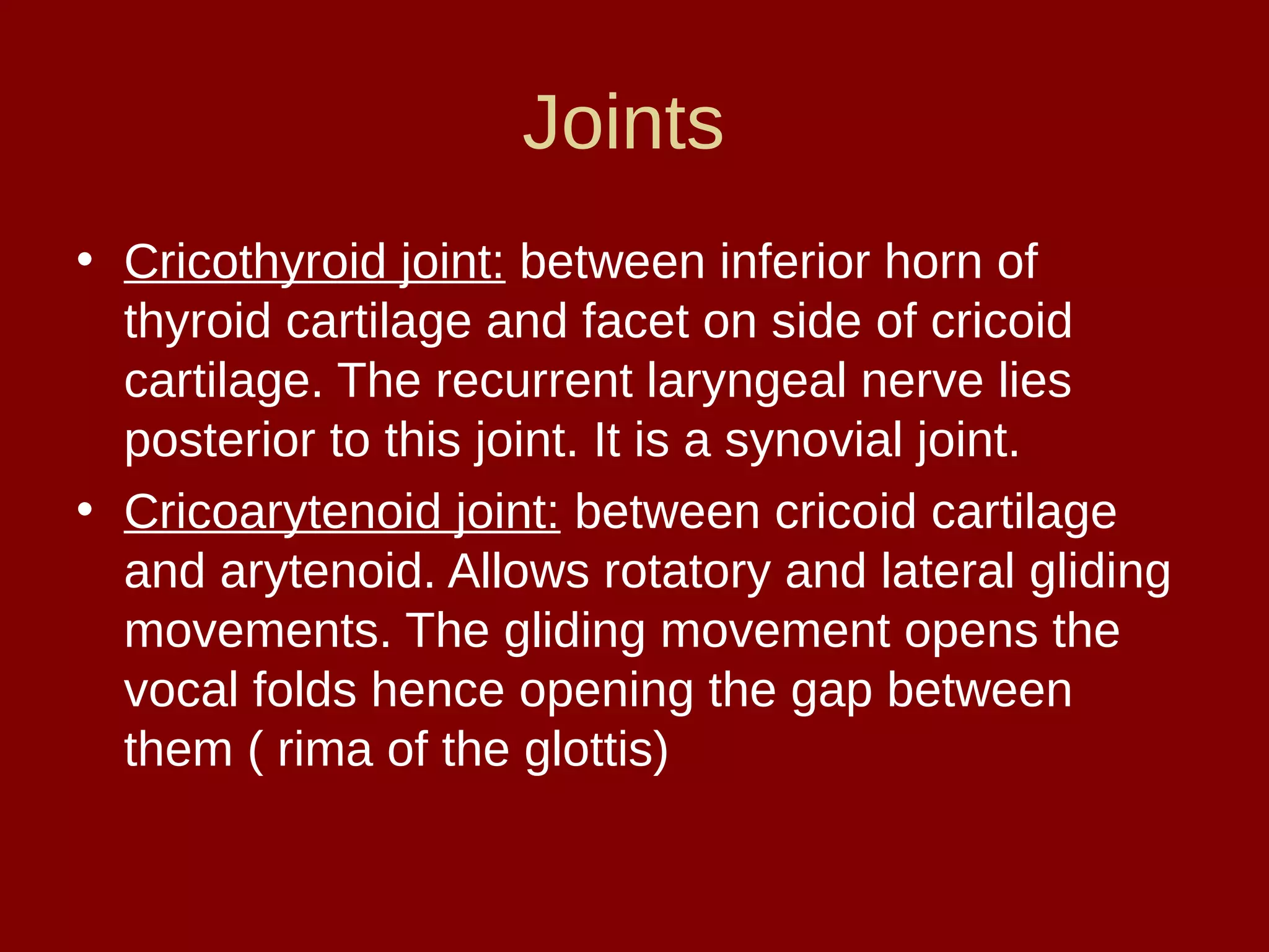 Lecture 11b larynx.pdf