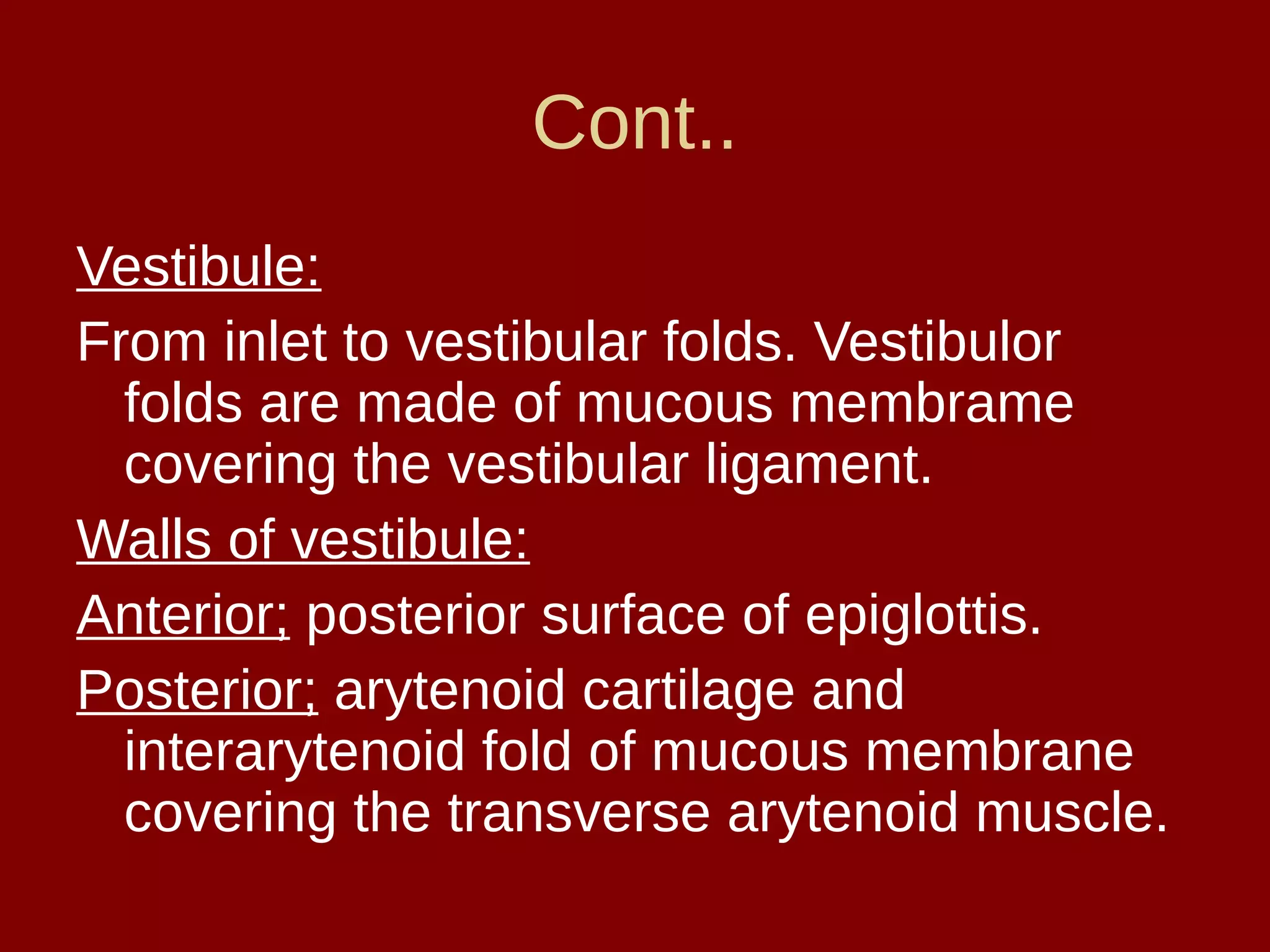 Lecture 11b larynx.pdf