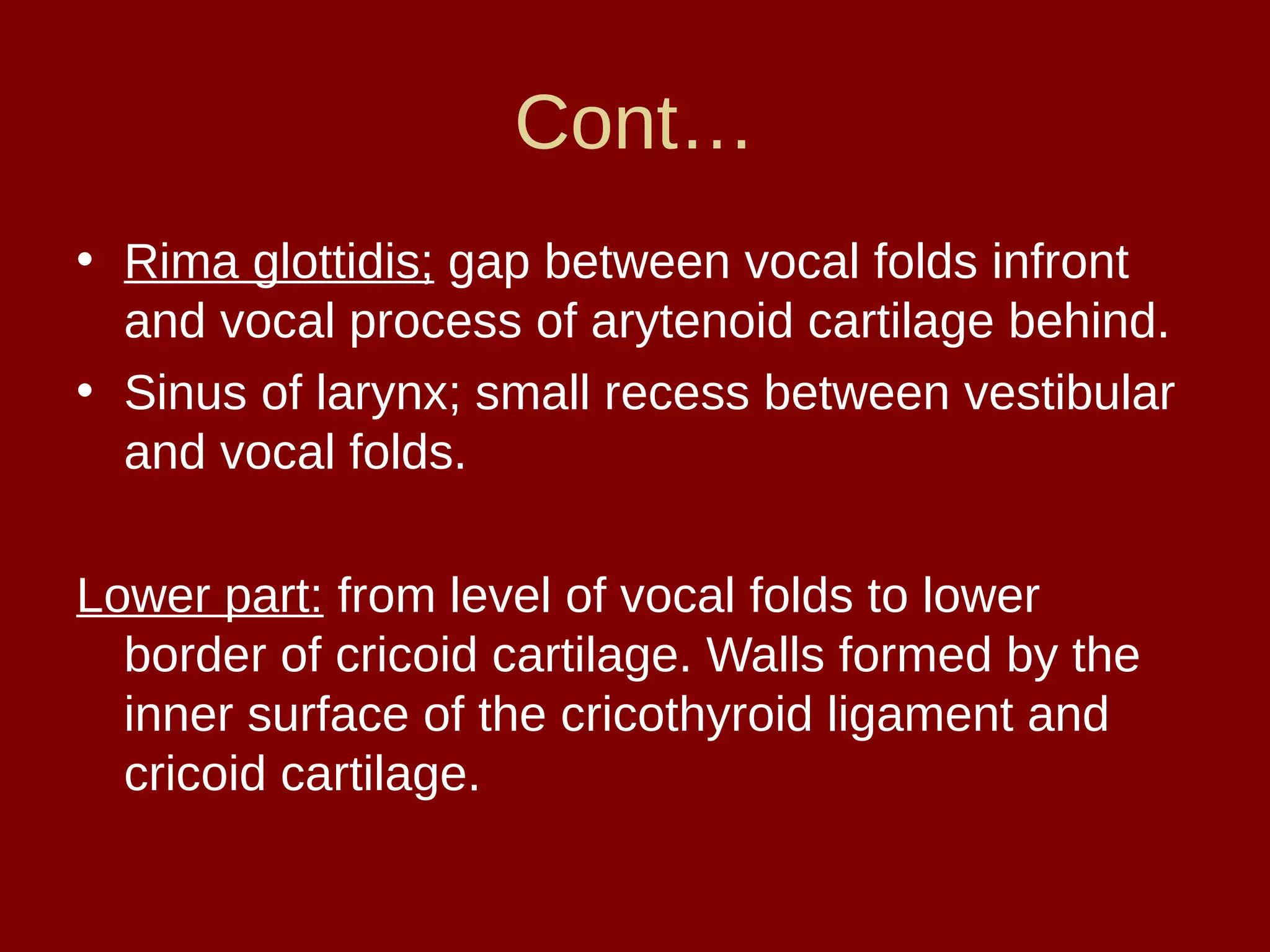 Lecture 11b larynx.pdf