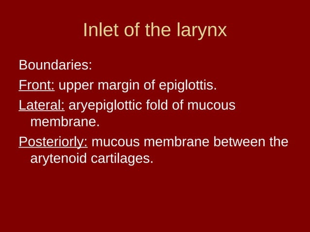 Lecture 11b larynx.pdf