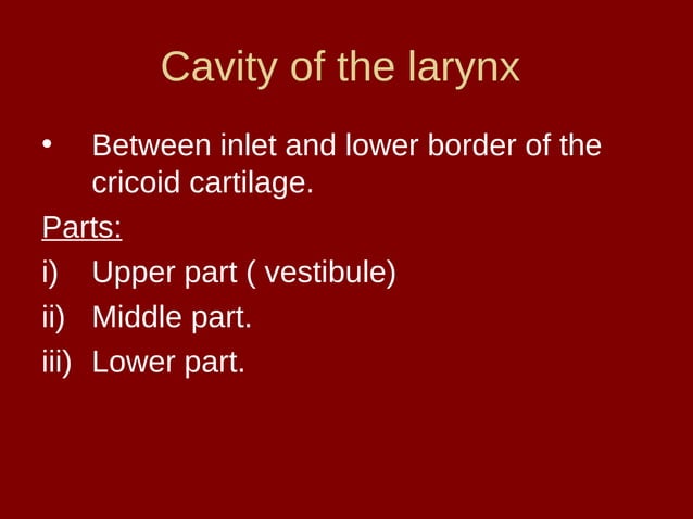 Lecture 11b larynx.pdf