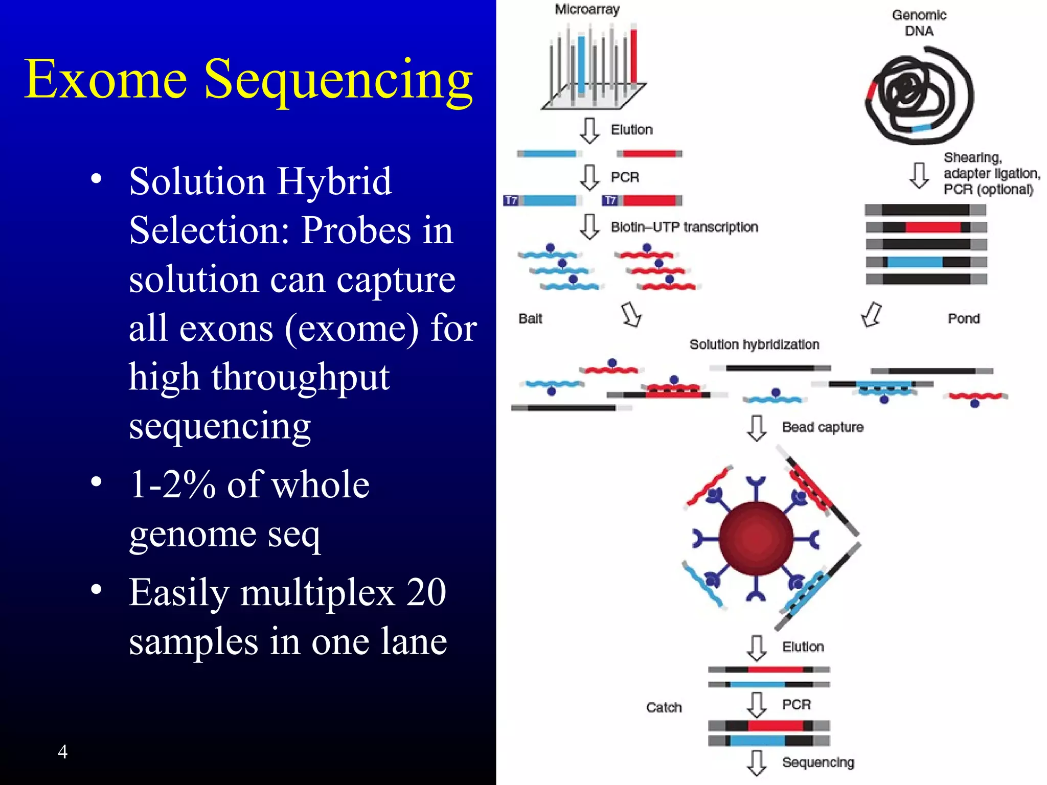 Exome Sequencing | PPT
