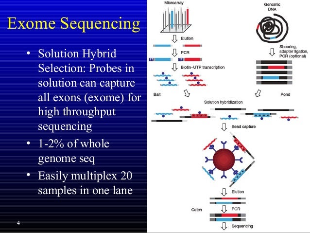 Exome Sequencing