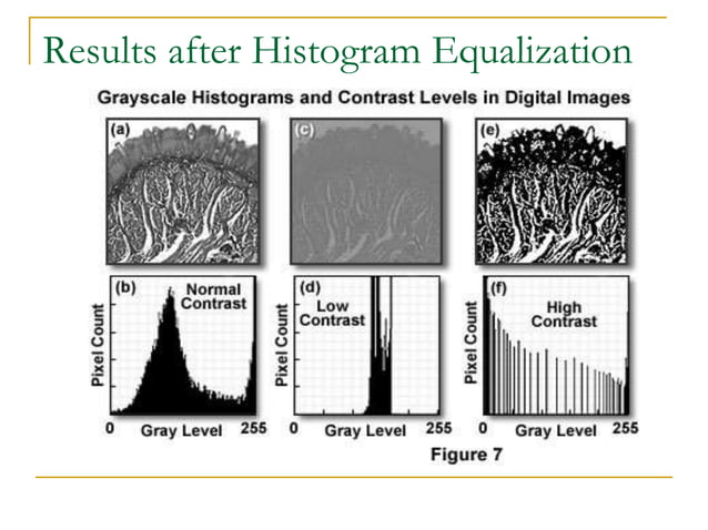 Histogram Equalization Pptx Digital Audio Computer Software And Applications