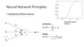 Lecture 11 neural network principles | PPT